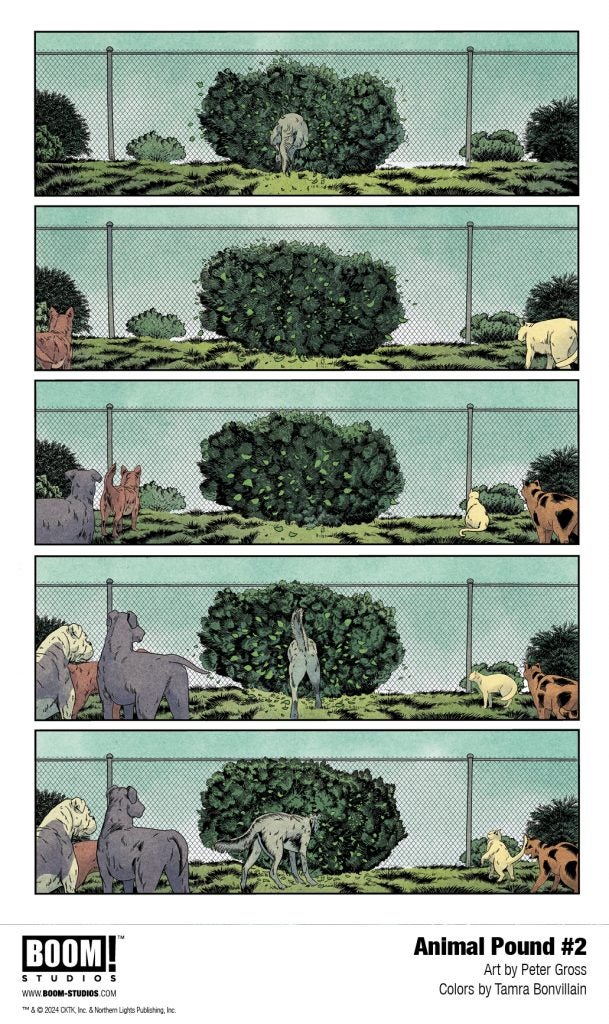 ANIMAL POUND #2 First Look - BOOM! Studios