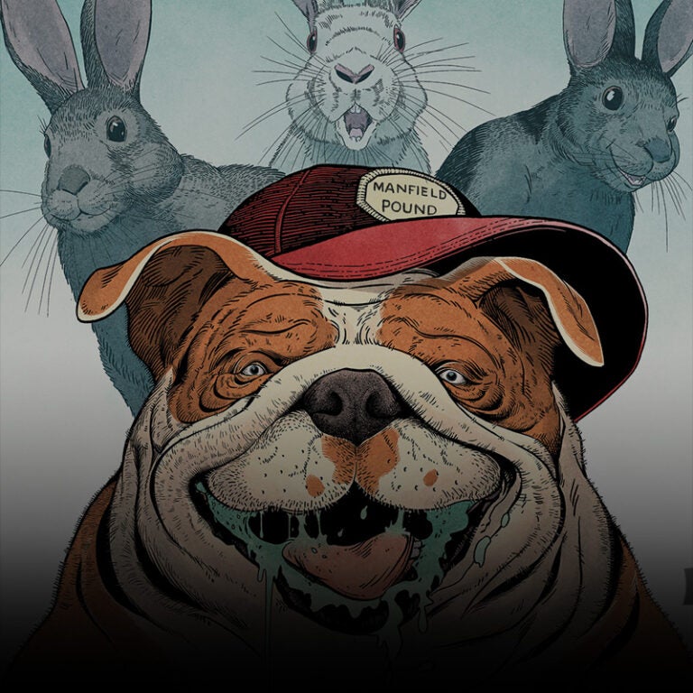 "animal pound" - BOOM! Studios