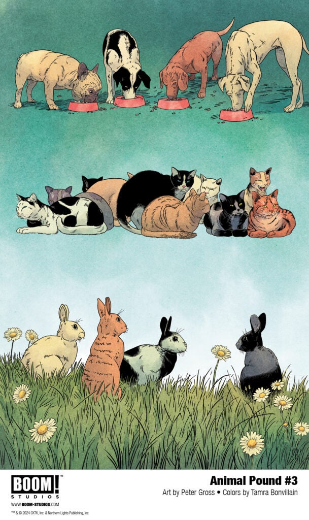 ANIMAL POUND #3 First Look - BOOM! Studios