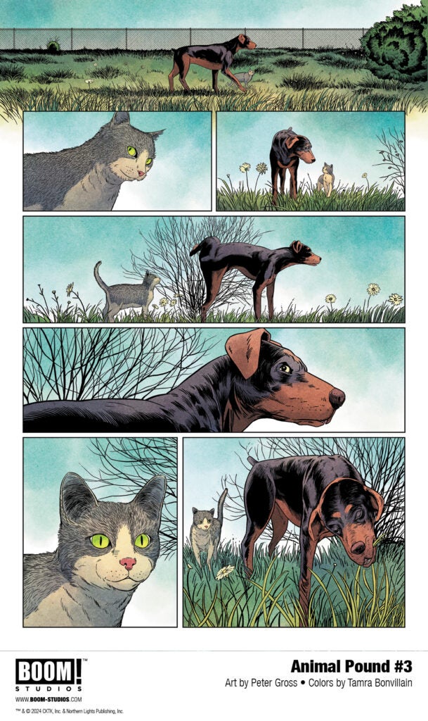 ANIMAL POUND #3 First Look - BOOM! Studios